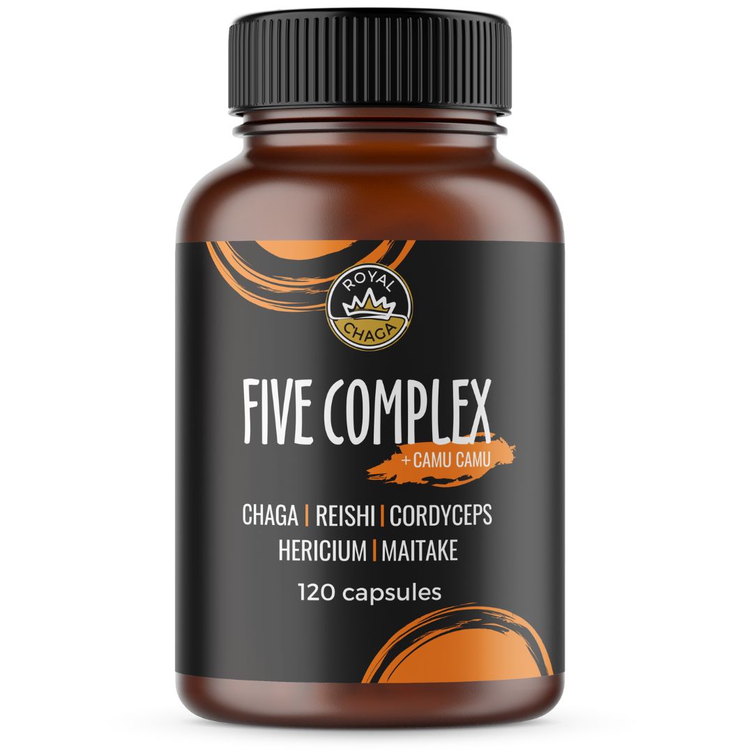 Five Complex - RoyalChaga